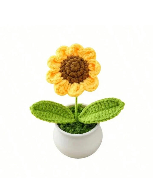 All Products – Prayers From Maria Foundation