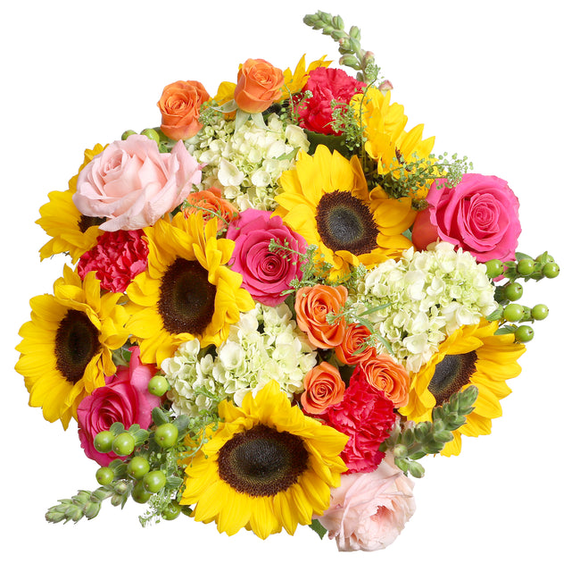 All Products – Prayers From Maria Foundation